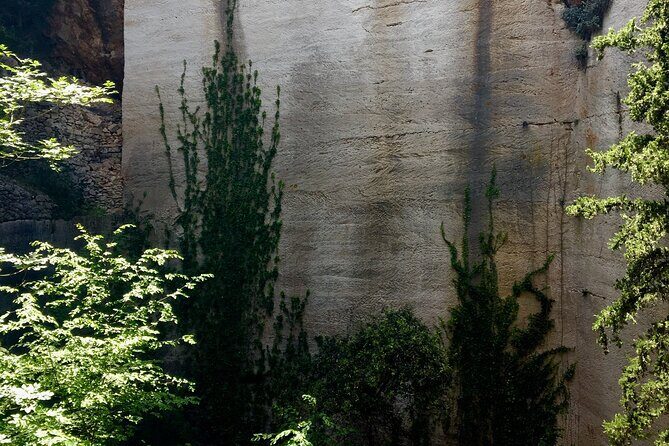 Bits of History - Half day kayak Tour with Wine delight - Value for Money