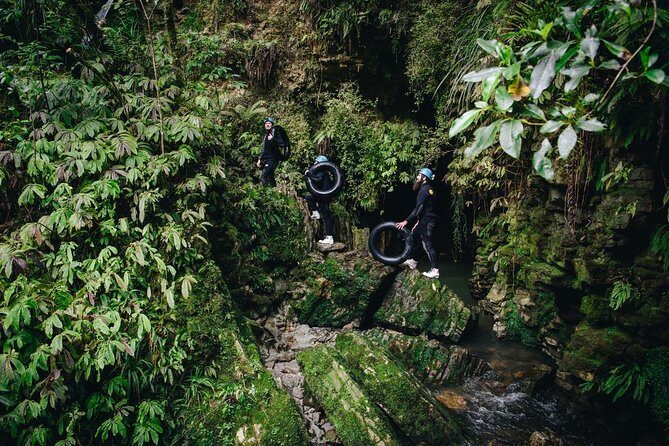 Black Abyss: Ultimate Waitomo Caving - Private Tour from Auckland - Who Should Consider This Tour?