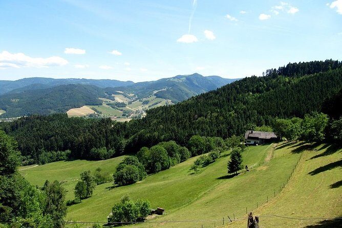 Black Forest Day Tour - Who Should Consider This Tour?