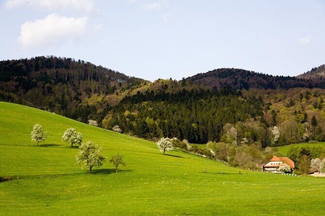 Black Forest Day Tour - Frequently Asked Questions