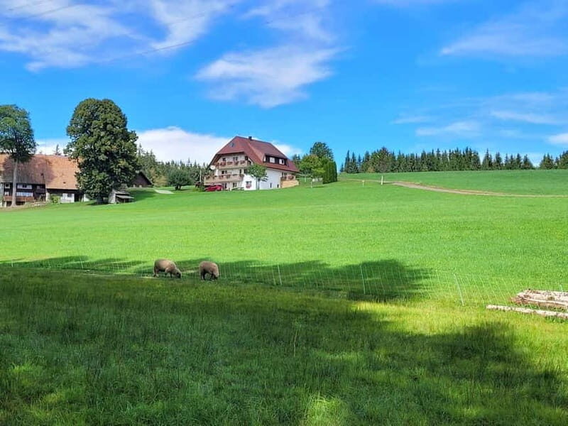 Black Forest: Ravenna Gorge Hike, Self-Guided - Key Points