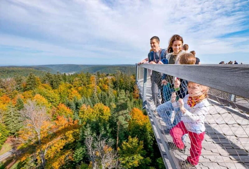 Black Forest: Treetop Walk & Lookout Tower Experience - The Tunnel Slide — A Fun Bonus