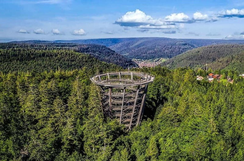 Black Forest: Treetop Walk & Lookout Tower Experience - Practical Tips for Visiting