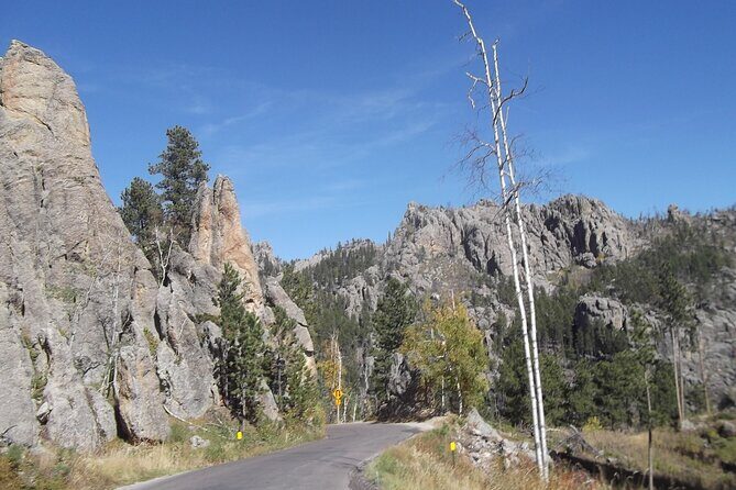 Black Hills Custom Private Day Tour - Practical Tips for Your Black Hills Adventure