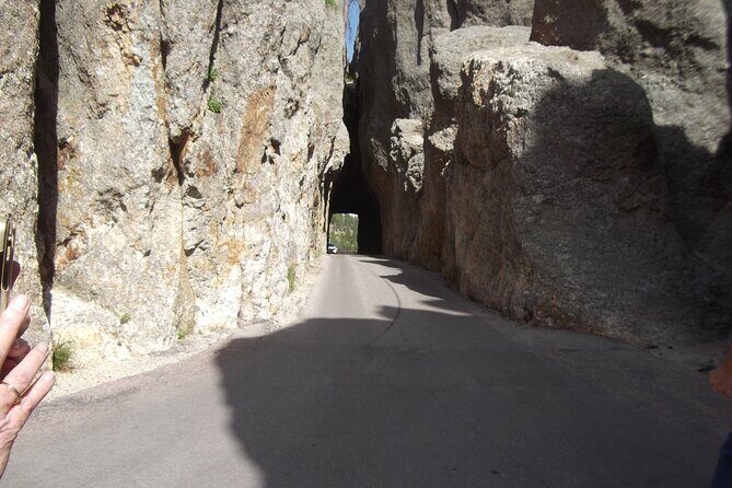 Black Hills Custom Private Day Tour - Who Is This Tour Best Suited For?