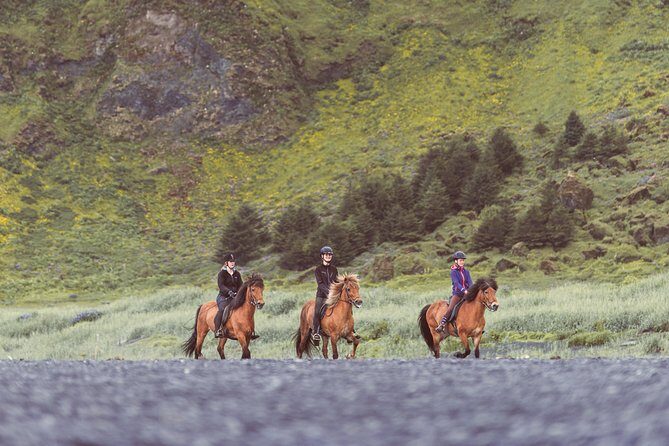 Black Sand Beach Horse Riding Tour from Vik - Why Youll Love This Experience