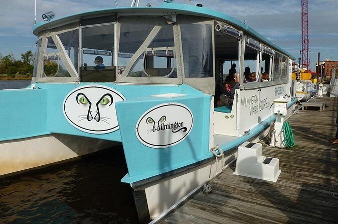 Black Water Adventure Cruise - Pricing and Value