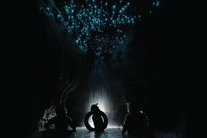 Black Water Rafting Experience Waitomo Caves Tour - Key Points