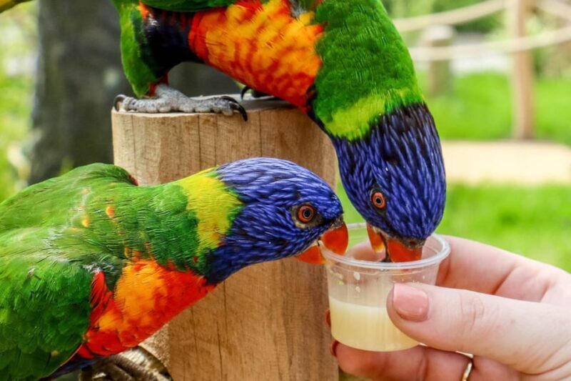 Blackpool: Zoo Admission Ticket - Who Would Love Blackpool Zoo?