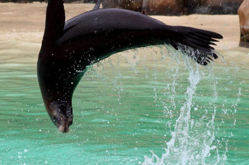 Blackpool: Zoo Admission Ticket - FAQ