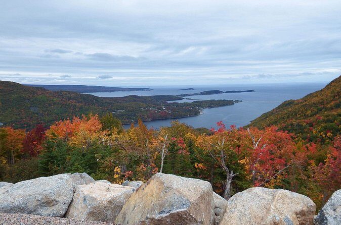 Blackwood Tours: 6 Hour Cabot Trail Tour in Cape Breton, NS - Is This Tour Right for You?
