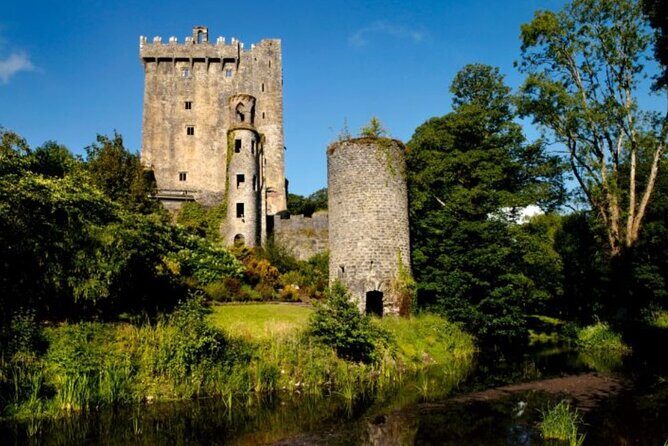 Blarney Castle and The Rock of Cashel with Private Chauffeur Tour - Transport, Comfort, and Convenience
