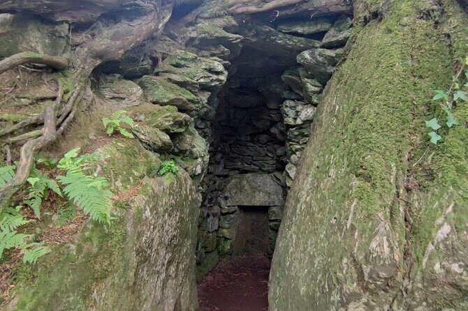 Blarney Castle Cork City and Jameson Distillery Small groups - Who Would Love This Tour?