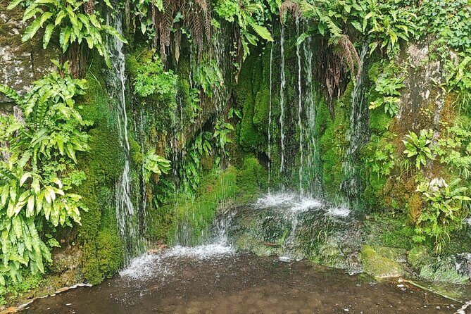 Blarney Castle Cork City and Jameson Distillery Small groups - FAQ