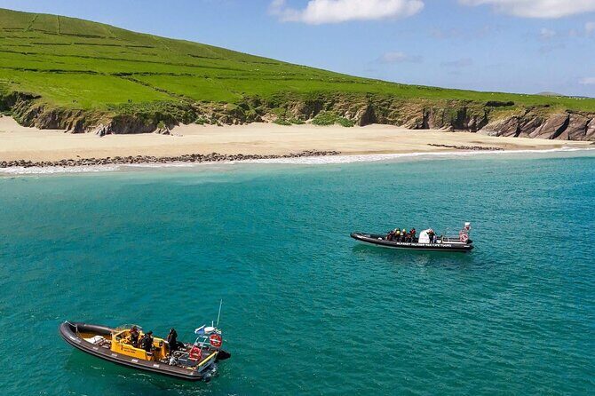 Blasket Island Sea Life Rib Tour, - Key Points