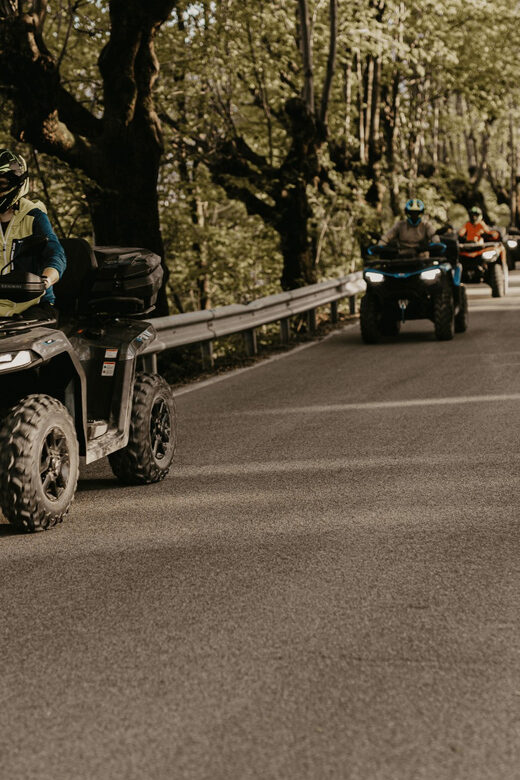 Bled: Full-Day Quad Rental - Who Should Consider This Tour?