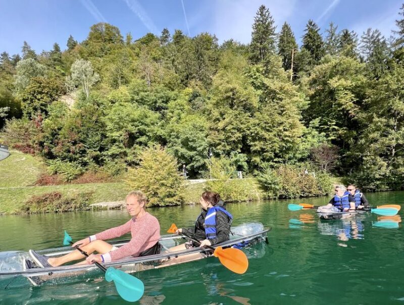 Bled: Guided Kayaking Tour in a Transparent Kayak - Why You’ll Love This Kayaking Tour