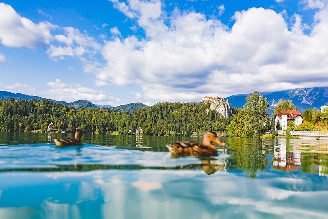 Bled lake, island & castle | Private half day trip from Ljubljana - A Closer Look at the Tour Experience  