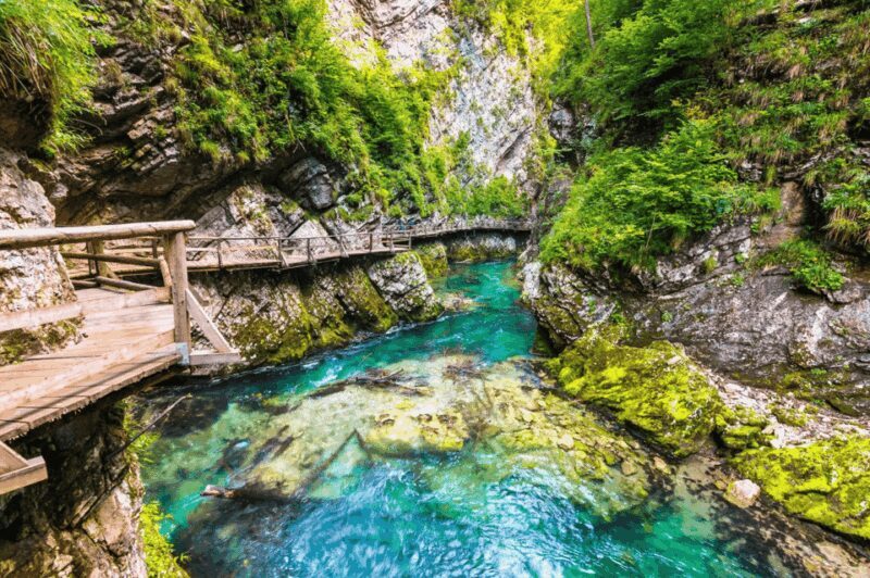 Bled: Vintgar Gorge Best Experience and Food Tasting - Key Points  