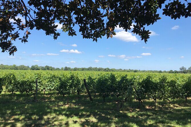 Blending workshop and tour of the chateau - In-Depth Review of the Blending Workshop and Château Tour