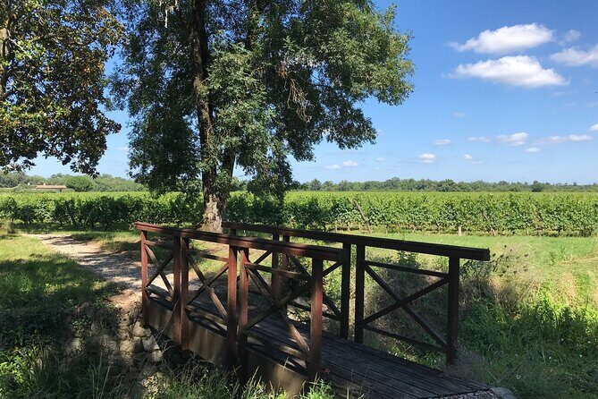 Blending workshop and tour of the chateau - Final Thoughts: Is It Worth It?