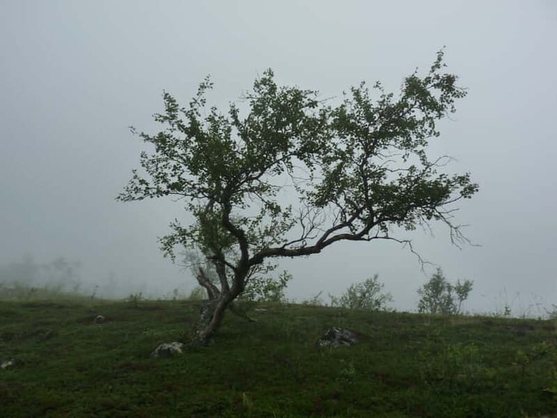 Bloody Stockholm: ghosts, horror and dark folklore 2h - An In-Depth Look at the Bloody Stockholm Tour