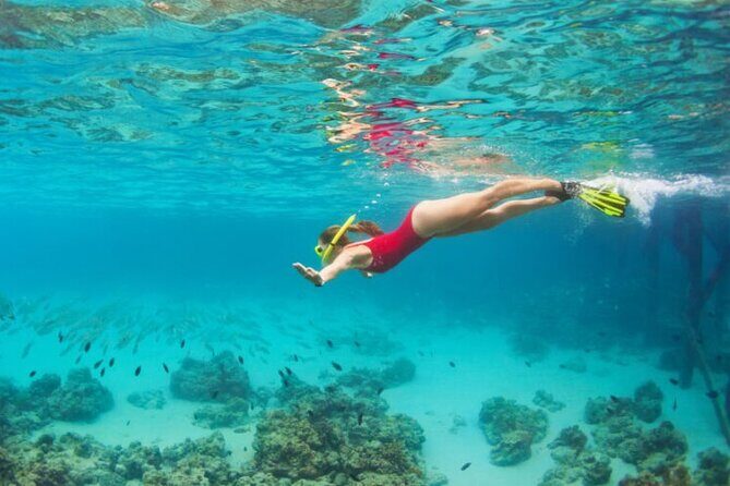 Blue Cave Full-Day Boat Tour with Hvar and 5 Islands - What Makes This Tour Stand Out?