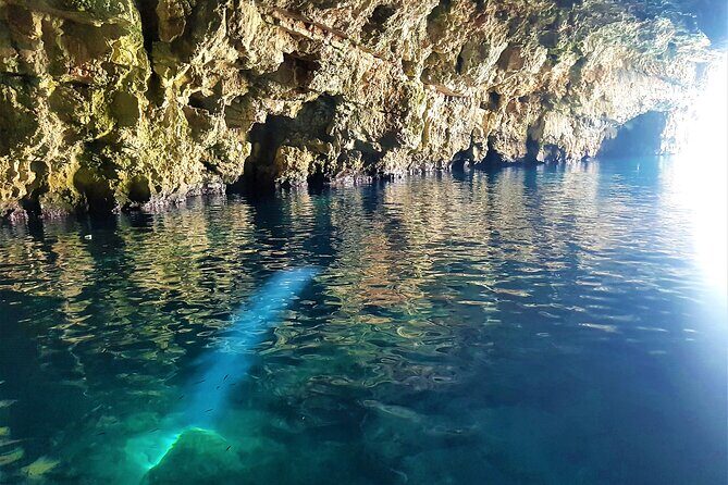 Blue cave group tour with swimming and snorkelling from Hvar - Pricing and Value