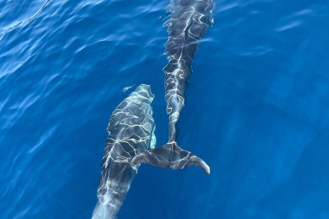 Blue cave tour with a speedboat-small group - The Itinerary in Detail
