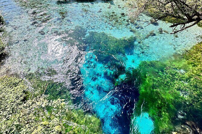 Blue Eye and Gjirokaster, Half Day Nature & Historical Tour - Practical Details & Logistics