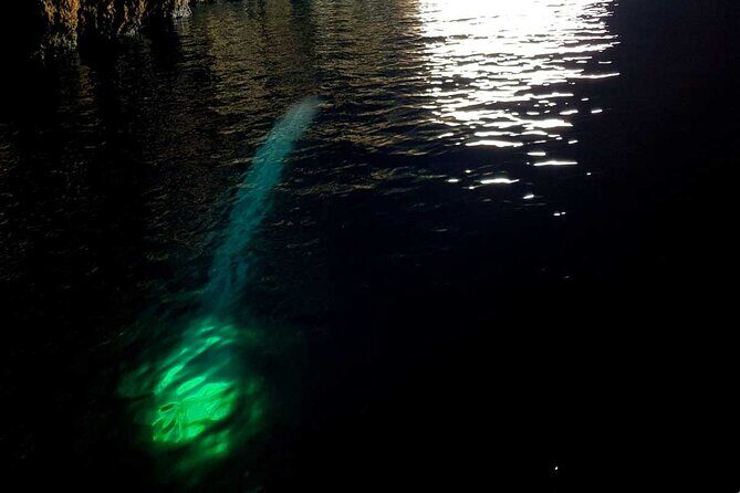 Blue & Green Cave Vis Island and Pakleni Islands Private Day Trip from Hvar - Practical Tips for Booking