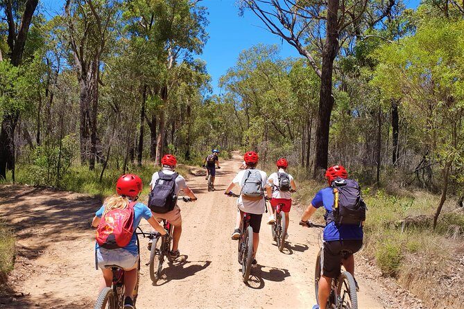 Blue Labyrinth PRIVATE Tour: Sydney Blue Mountains by E-Bike - Key Points