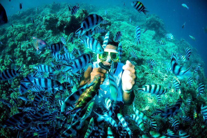 Blue Lagoon Cruises - Wanderer Cruise - 4 Night - Final Thoughts