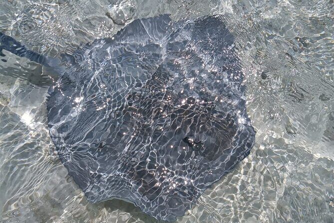 BLUE LAGOON | Eco-tour | Snorkeling Avatoru | Secret Green Lagoon - Who Should Book This Tour?