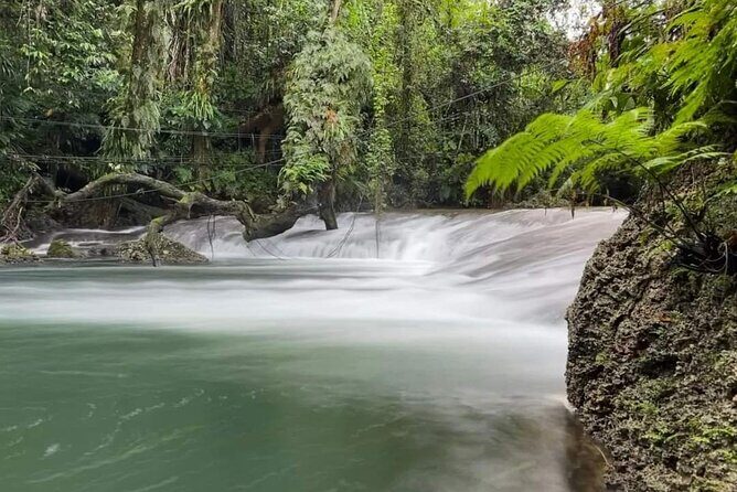 Blue Lagoon & Eden on the River - Half Day Trip with Yumi Tours - Exploring Efate’s Top Natural Wonders
