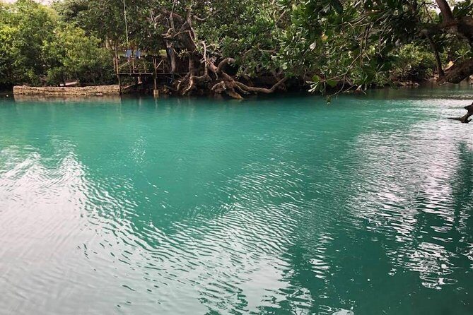 Blue Lagoon & Eden on the River - Half Day Trip with Yumi Tours - FAQs