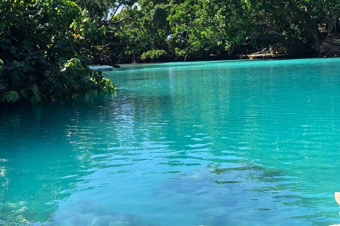 Blue Lagoon Express Bus - An Honest Look at the Blue Lagoon Express Bus Tour