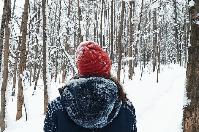 Blue Mountain and Scenic caves of Collingwood - Is the Price Worth It?