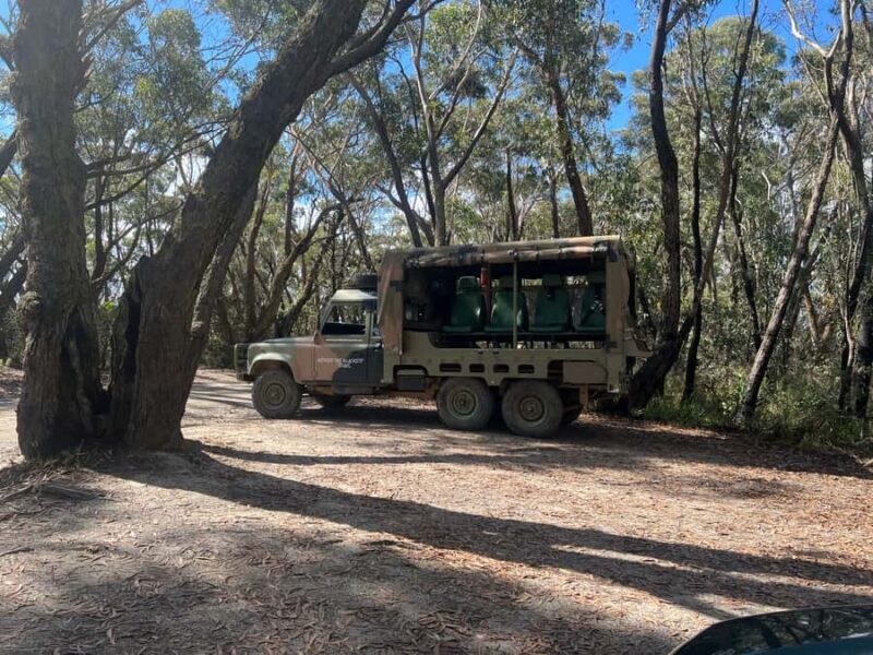 Blue Mountains 3 Hour Army Truck Adventures - Practical Details and Value