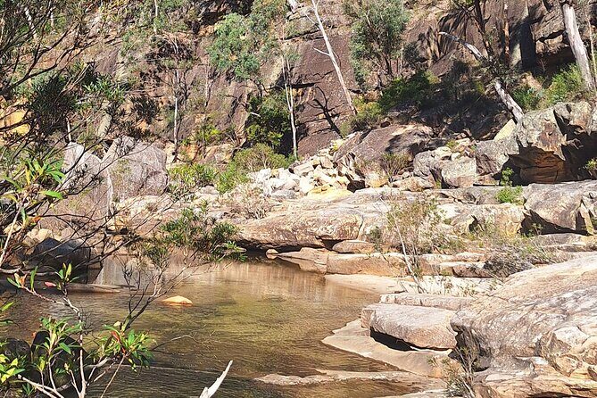 Blue Mountains 3 Hour Guided Eco Tour - close to Sydney - Authentic Insights from Past Reviewers