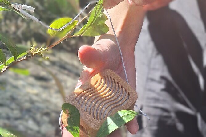 Blue Mountains 3 Hour Guided Eco Tour - close to Sydney - The Sum Up