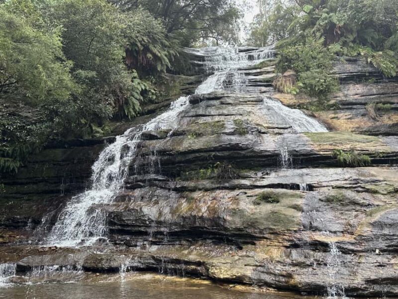 Blue Mountains Adventure: Scenic World, Zoo & Koala Photo - FAQ