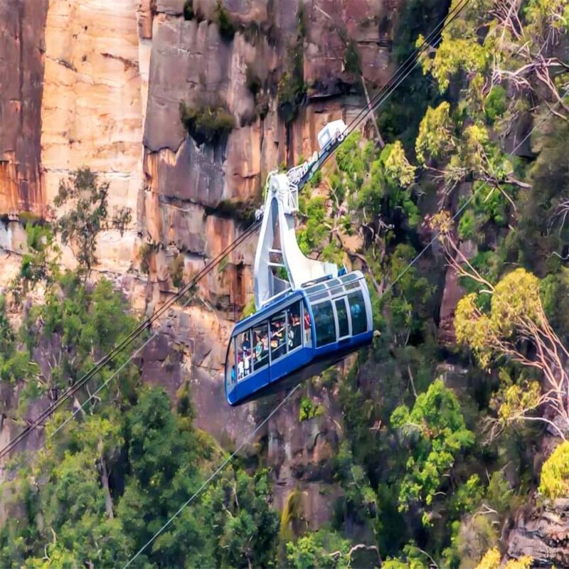 Blue Mountains Adventure: Wild Boar Rock & Cable Car - Detailed Review of the Blue Mountains Adventure