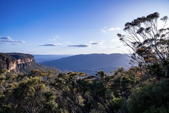 Blue Mountains and Australian Native Animals - Why This Tour is Worth Considering