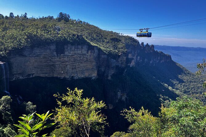 Blue Mountains and Australian Native Animals - FAQ: Practical Questions Answered