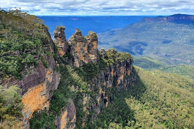 Blue Mountains and Wildlife Truly Private Luxury Tour - The Value in the Details