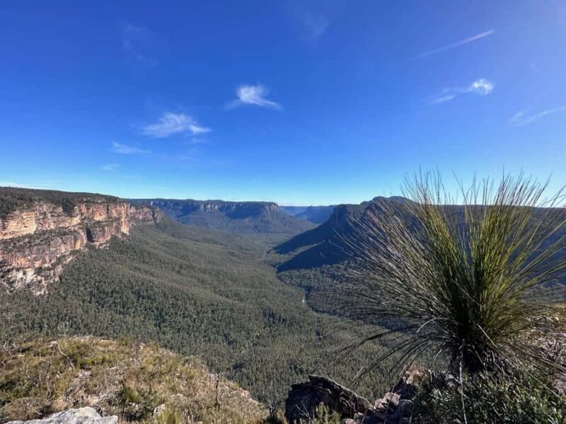 Blue Mountains: Butterbox Point Guided Hike - The Experience: What to Expect on the Trail