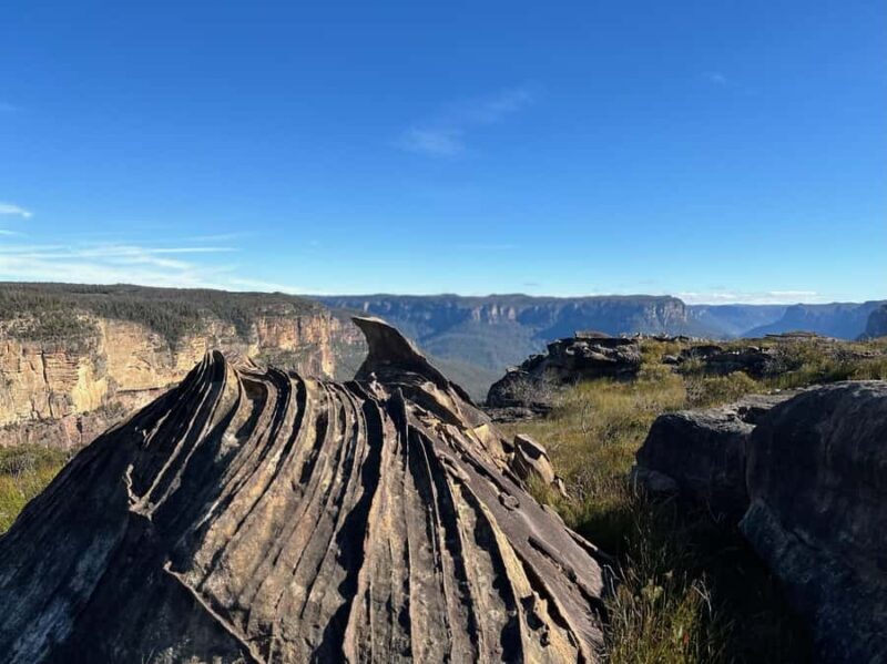 Blue Mountains: Butterbox Point Guided Hike - Authentic Insights: What Reviewers Say