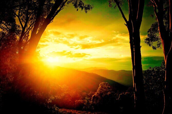 Blue Mountains Day, Sunset Tour & Glow Worms Night Adventure - Key Points