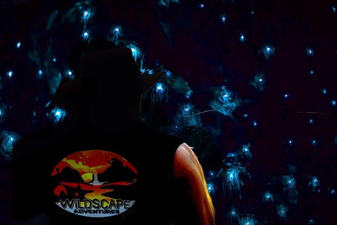 Blue Mountains Day, Sunset Tour & Glow Worms Night Adventure - The Practical Details